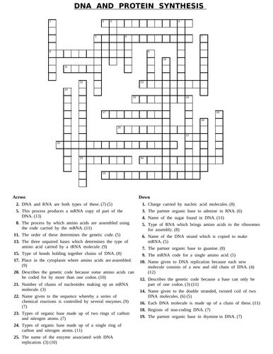 Biological Molecules A Level Biology Crosswords | Teaching Resources