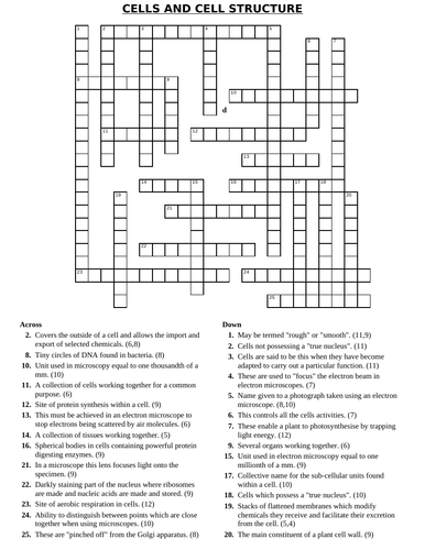 Cell Structure and Function A Level Biology Crosswords | Teaching Resources