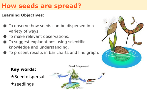 SEED DISPERSAL | Teaching Resources