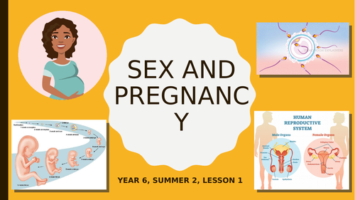 Sex and Pregnancy - Year 6 PSHE | Teaching Resources