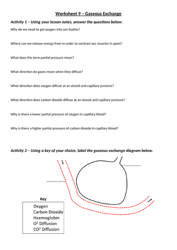 AQA GCSE PE - Blood Vessels | Teaching Resources