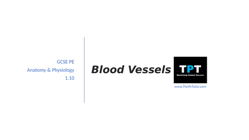 AQA GCSE PE - Blood Vessels | Teaching Resources