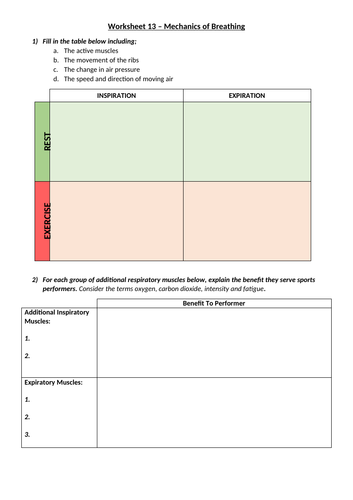 AQA GCSE PE - Mechanics of Breathing | Teaching Resources