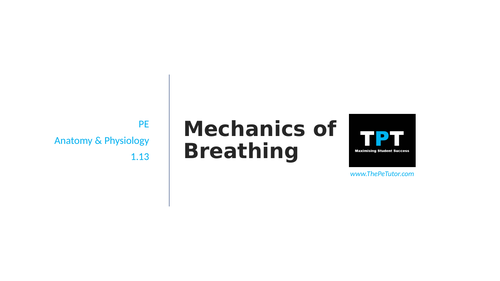 AQA GCSE PE - Mechanics of Breathing | Teaching Resources