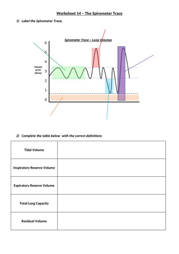 AQA GCSE PE - Spirometer Traces | Teaching Resources