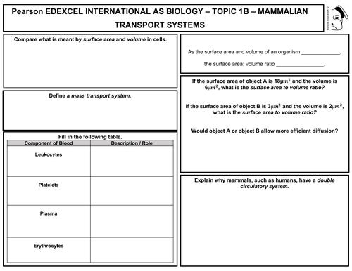 EDEXCEL International AS Biology - Topic 1B - Mammalian Transport ...