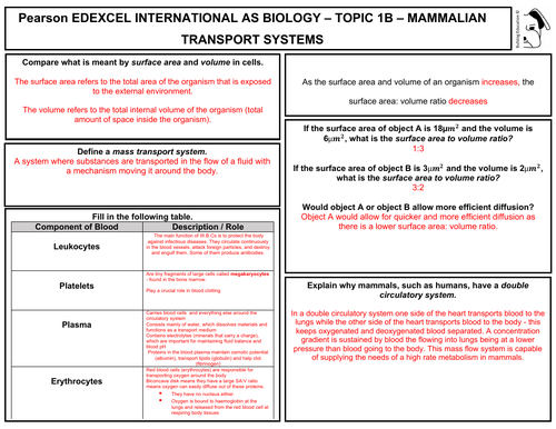 EDEXCEL International AS Biology - Topic 1B - Mammalian Transport ...