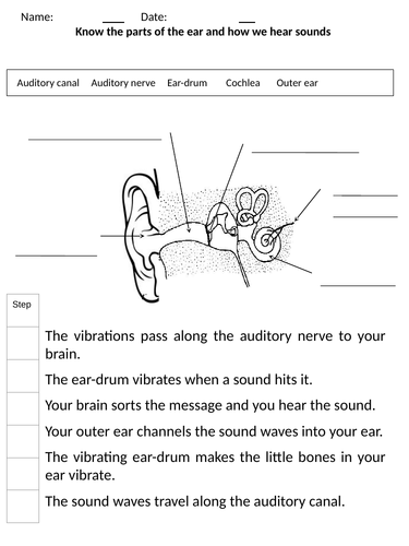 KS3 Science | 3.4.1,3,4 Waves and sound - Lesson 3 - The ear and ...