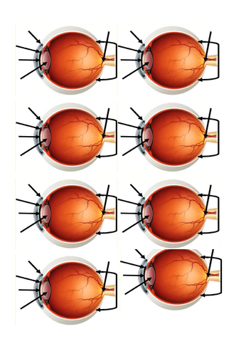KS3 Science | 3.4.2 Light - Lesson 7 - How the eye works FULL LESSON ...