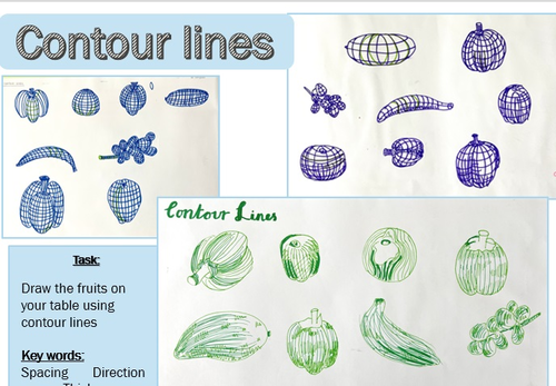 Still life line drawing in the style of C Clark | Teaching Resources