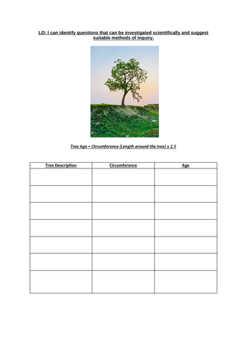 Outdoor Learning Tree Activity | Teaching Resources