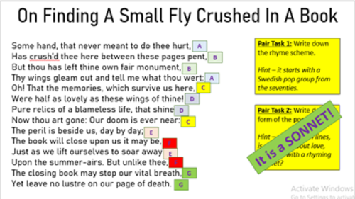 On Finding a Small Fly Crushed in a Book - Full Lesson - CIE Poetry ...
