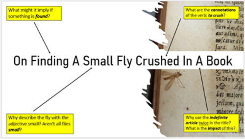 On Finding a Small Fly Crushed in a Book - Full Lesson - CIE Poetry ...