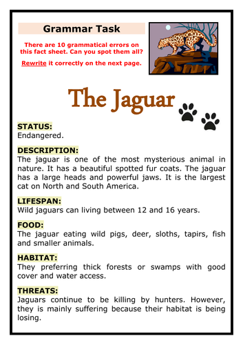Grammar Task - The Jaguar | Teaching Resources