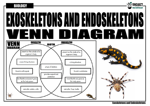 Exoskeleton Vs Endoskeleton