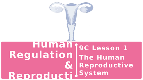 BTEC App. Science 9CL1 Human Reproductive System | Teaching Resources