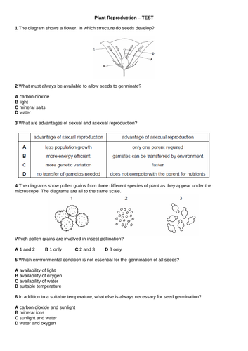 Biology IGCSE (CIE) End of Topic Tests - full set | Teaching Resources
