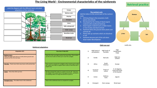 AQA Geography- Living World - Rainforests retrieval practice | Teaching ...