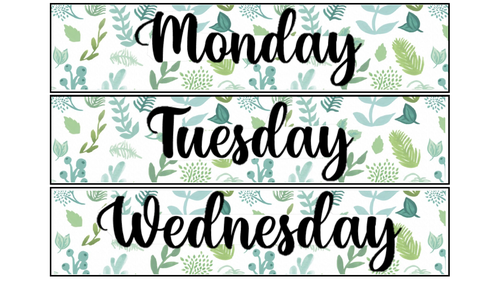 Days and Months visual aids | Teaching Resources