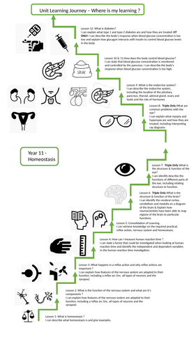 Learning Journey AQA unit maps Science Combined & Triple | Teaching ...