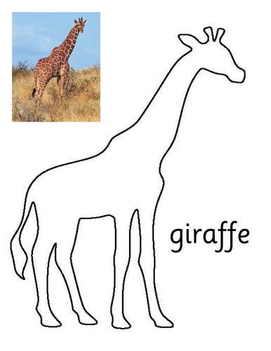 Jungle! Animal Pattern mark-making | Teaching Resources