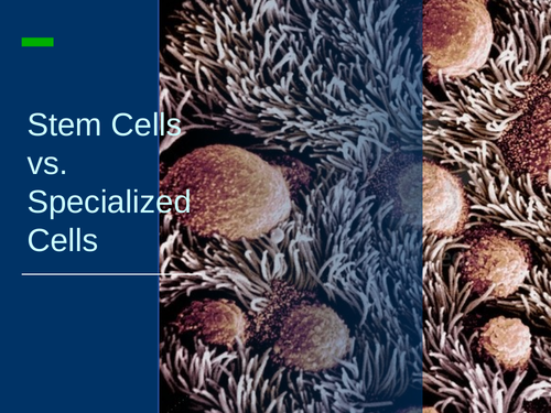 Grade 10 Science Power Points (Biology and Climate Change) | Teaching ...