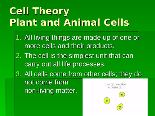 Cell Theory and Drawing Biological Diagrams Grade 10 Science Power ...