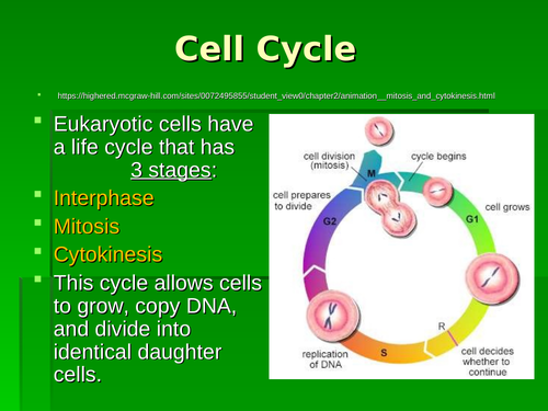CELL CYCLE Grade 10 Science Power Point Cell Division, Prophase ...