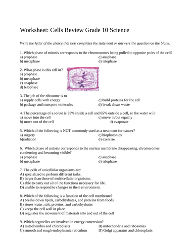 16 WORKSHEETS Grade 10 Science (Biology Unit, Chemistry Unit and ...