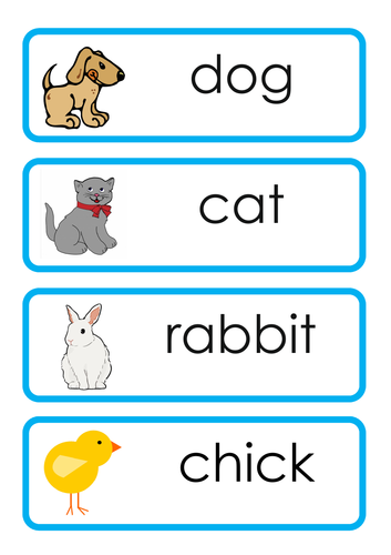 Classroom Animal Labels / Worksheets EYFS/KS1 | Teaching Resources