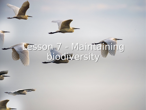 AQA GCSE Biology (9-1) B18.7 Maintaining biodiversity - FULL LESSON ...
