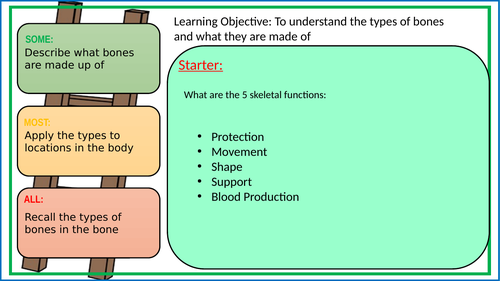 Skeletal System - Full lessons & workbook | Teaching Resources