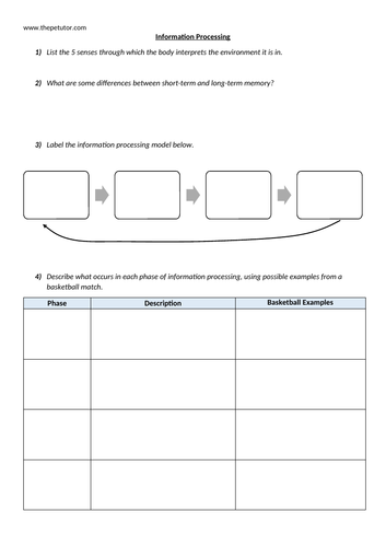 AQA GCSE PE - Information Processing | Teaching Resources AQA GCSE PE - Information Processing | Teaching Resources