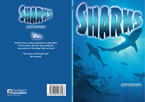 Sharks eBook & Teacher Notes for Reluctant Readers | Teaching Resources