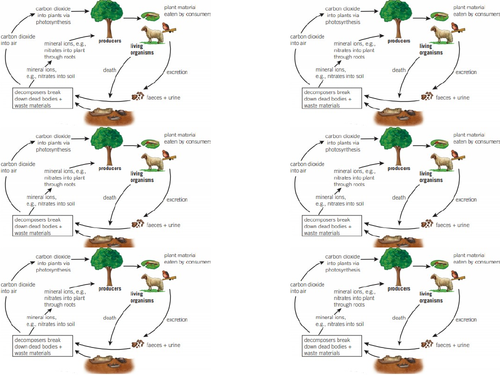 AQA GCSE Biology (9-1) B17 Organising an ecosystem - B17.2 Materials ...