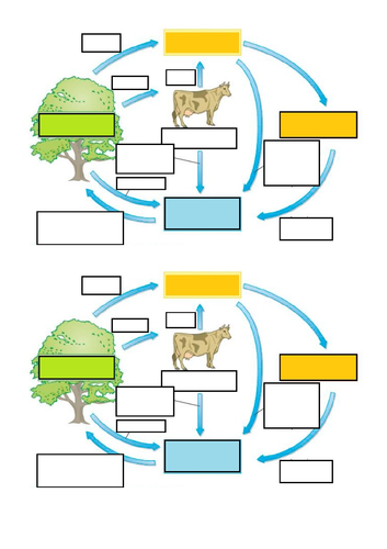 AQA GCSE Biology (9-1) B17 Organising an ecosystem - B17.3 The carbon ...