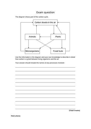 AQA GCSE Biology (9-1) B17 Organising an ecosystem - B17.3 The carbon ...