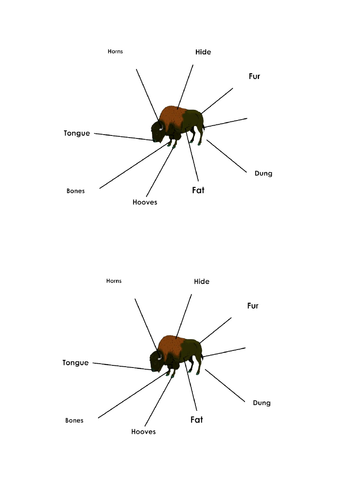 Native Americans Bundle Worksheets and Resources | Teaching Resources