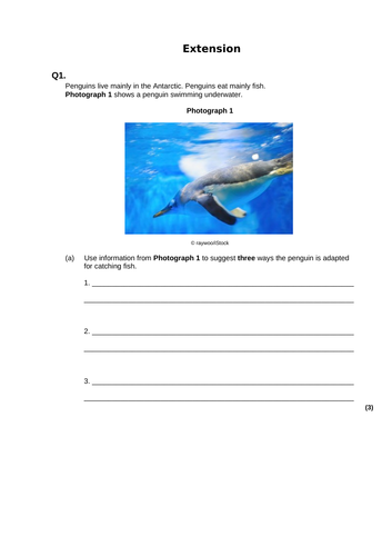 AQA GCSE Biology (9-1) B16.6-8 Adaptation in animals and plants - FULL ...