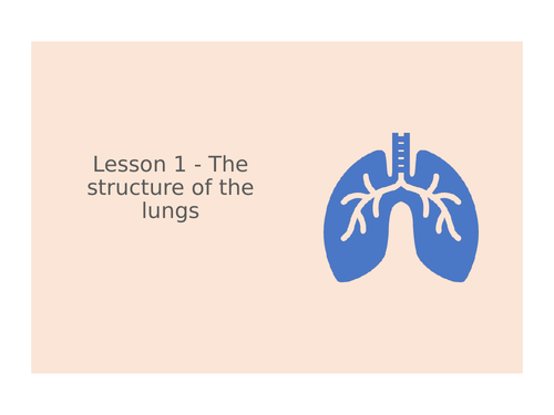 KS3 Science | 3.8.3 Breathing - Lesson 1 - Structure of the lungs FULL ...