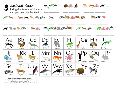 Animal Code 3 - De-code the fact using an animal code | Teaching Resources