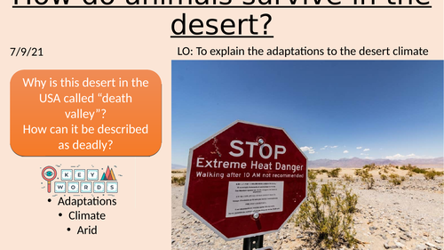 KS3 Desert animal adaptations | Teaching Resources