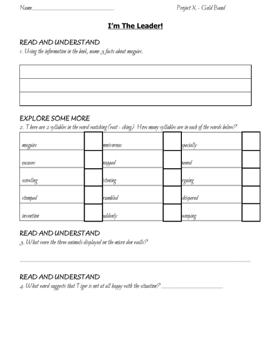 Reading Comprehension Bundle (44) | Teaching Resources