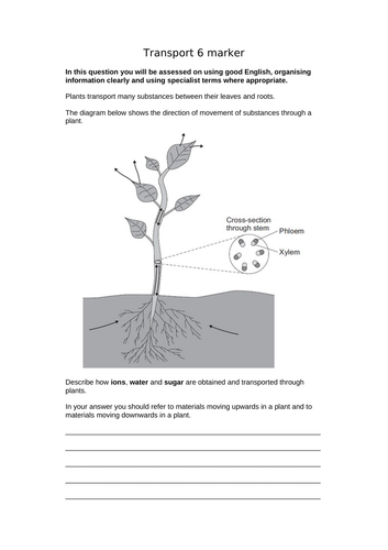 AQA GCSE Biology (9-1) B1-2 Transport in cells REVISION LESSON ...