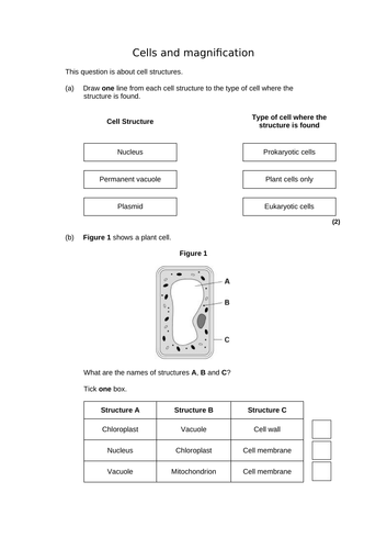 AQA GCSE Biology (9-1) B1-2 Cell Biology REVISION LESSON | Teaching ...