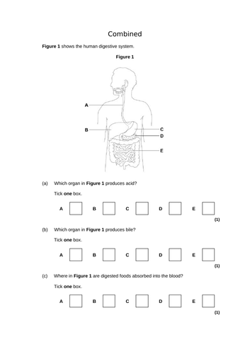 AQA GCSE Biology (9-1) B3 Organisation and the digestive system REVISION LESSON | Teaching Resources