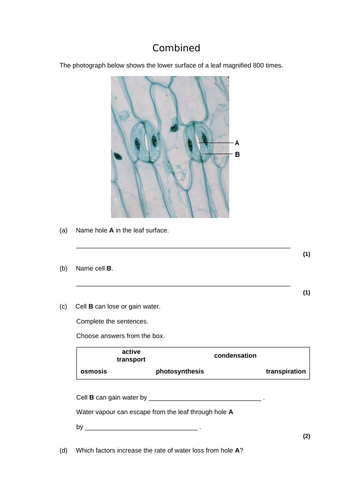 AQA GCSE Biology (9-1) B4 Organisation in plants REVISION LESSON ...