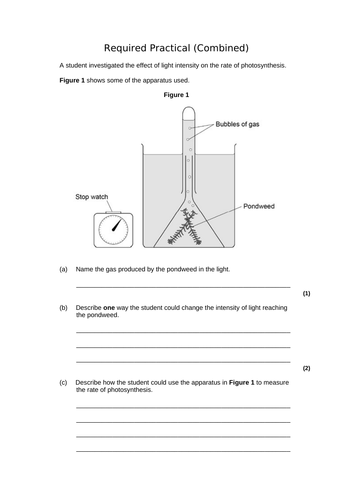 AQA GCSE Biology (9-1) B8 Photosynthesis REVISION LESSON | Teaching ...