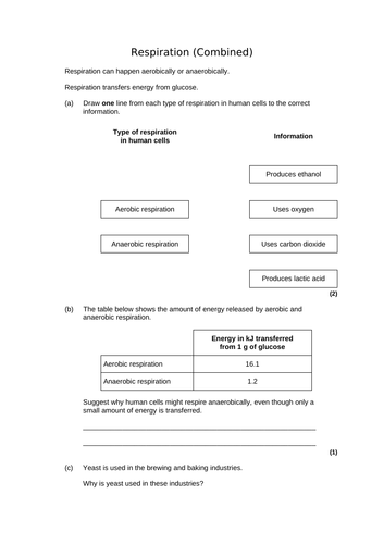 AQA GCSE Biology (9-1) B9 Respiration REVISION LESSON | Teaching Resources