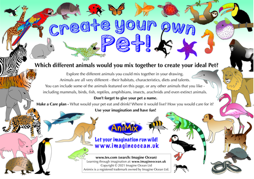 Create your own pet! - a creative drawing activity | Teaching Resources